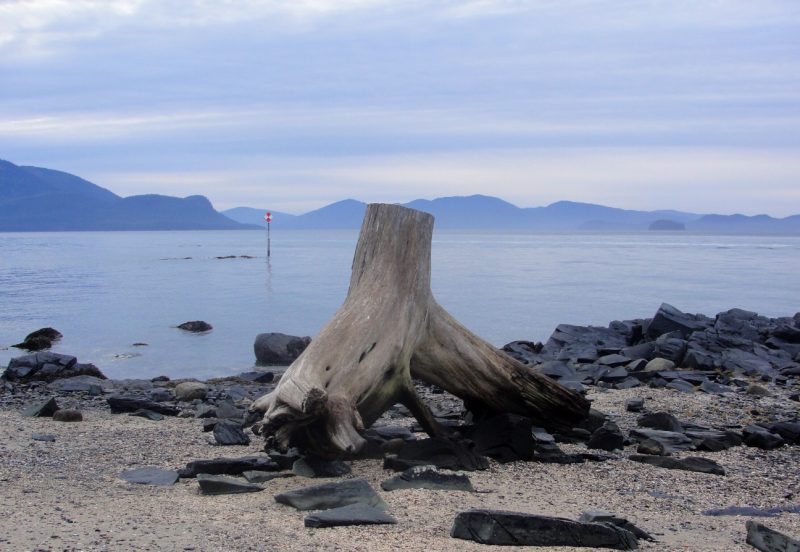 Don't Miss These Alaskan Beaches - HWY.CO