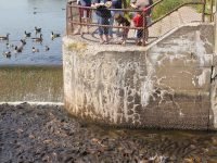 Linesville Spillway: An Unusual Attraction in PA - HWY.CO